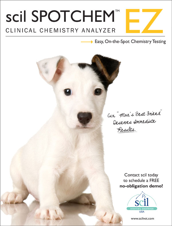 scil animal care Re-Branding by Heather Heiking at Coroflot.com