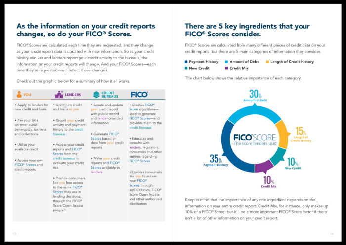Understanding FICO Scores booklet by Julie Peng at Coroflot.com