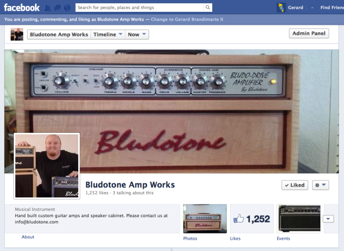 CLICK HERE TO ENTER Bludotone Amp Works - Consulting by Gerard ...