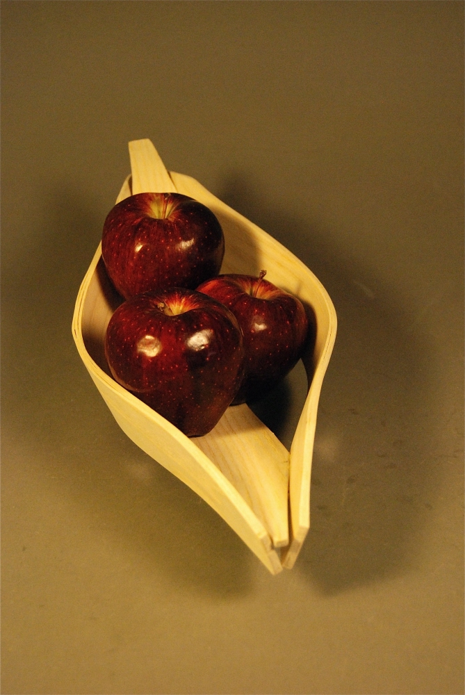 An upload by Maya Shanker on Coroflot: to the project Semester 1 work ID