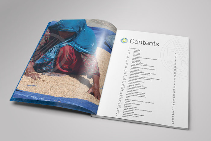 FAO (Report Design) by arslan Khan babar at Coroflot.com