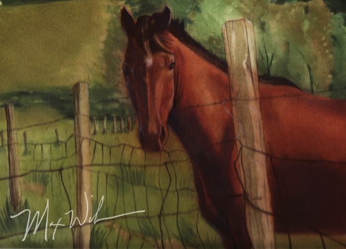 Illustration One by Max Wilson at Coroflot.com
