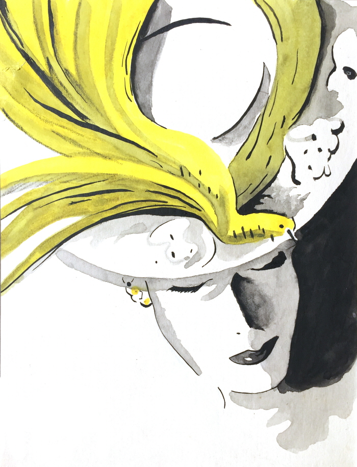 Illustration by Lydia Schwartz at Coroflot.com