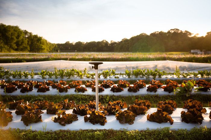 Arable Mark- Agricultural Sensor by Byron Lee at Coroflot.com