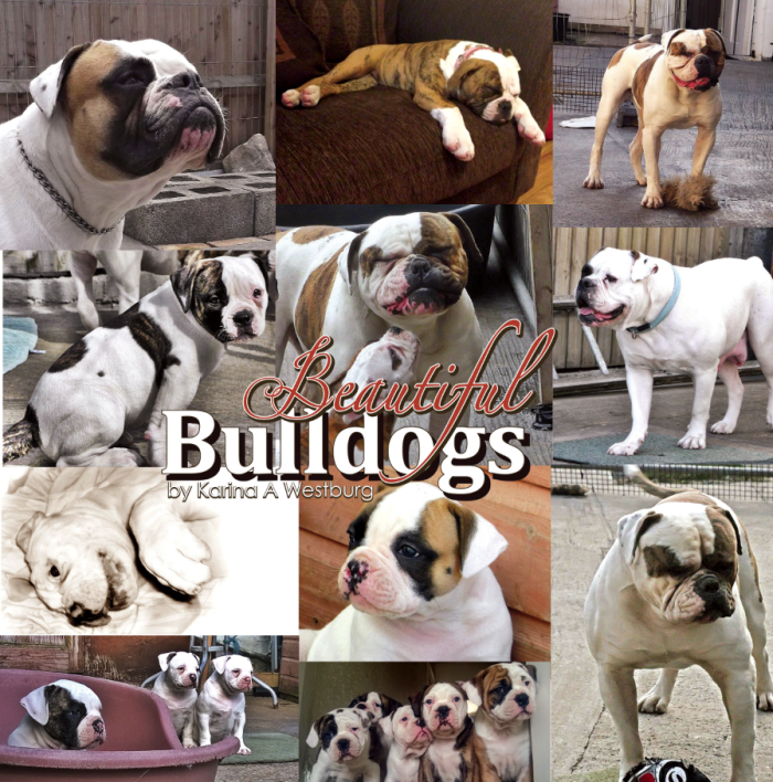 Beautiful Bulldogs™ - Coffee Table Book by Karina Vladi Abramian at ...