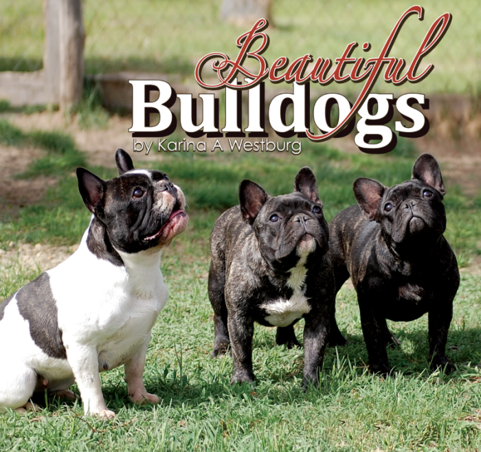 Beautiful Bulldogs™ - Coffee Table Book by Karina Vladi Abramian at ...
