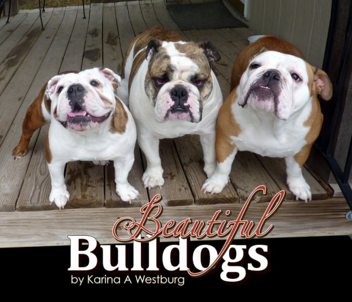 Beautiful Bulldogs™ - Coffee Table Book by Karina Vladi Abramian at ...