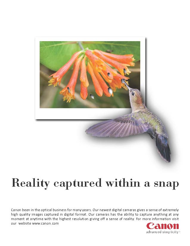 Canon magazine campaign advertisement by Lydia Chan at Coroflot.com