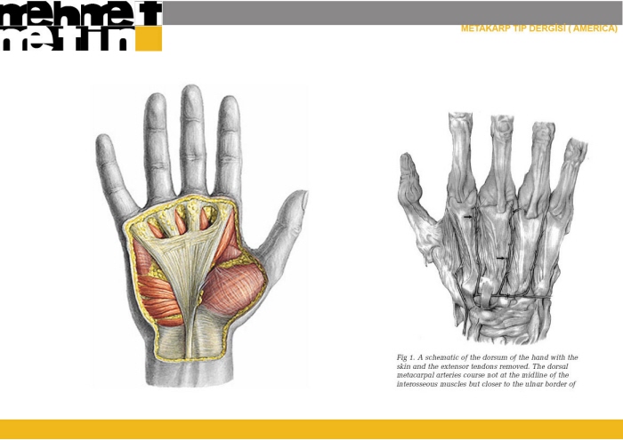 mehmet_metin_Drawing_hands by mehmet metin at Coroflot.com
