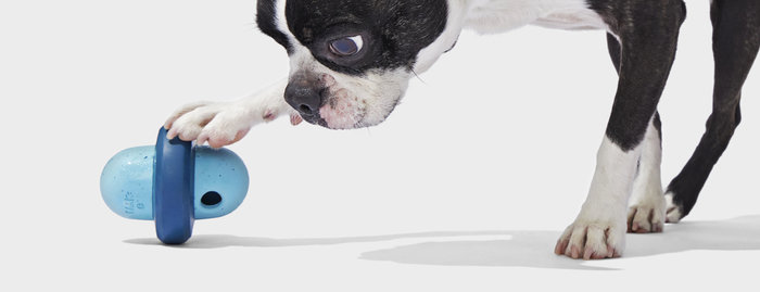 Pivot Wobble Toy for Bark Super Chewer by Olivia Blechschmidt at ...