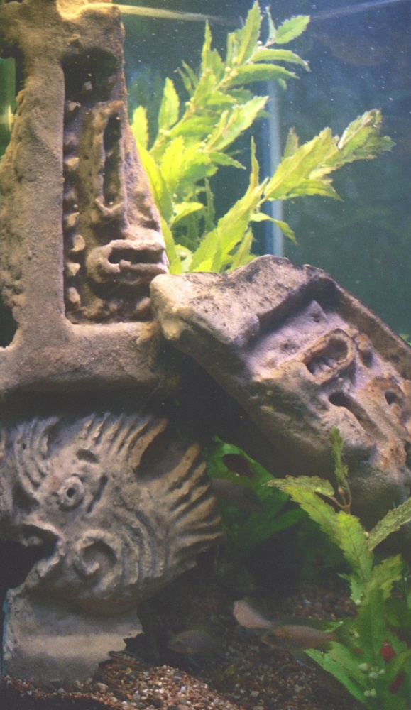 Mayan Ruin Sculpture & Stand for a 60-Gal Aquarium by Jim Henceroth at ...