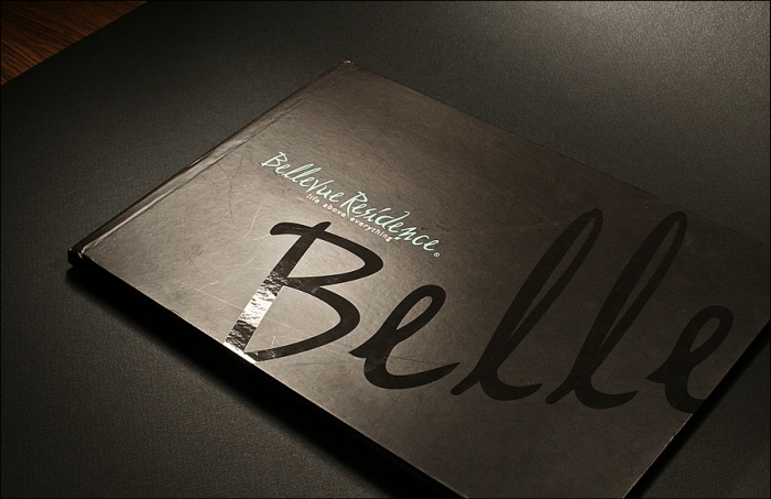 Prints by Sorin Bechira at Coroflot.com