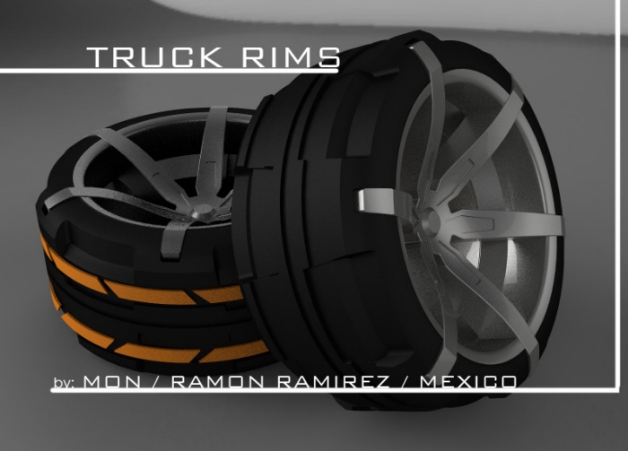 An upload by Ramón Ramirez on Coroflot: to the project RIMS