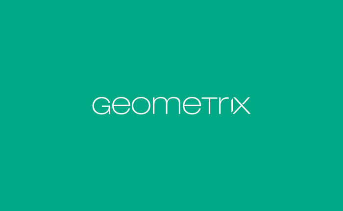 GEOMETRIX Logo by Viktorija Kulešova at Coroflot.com