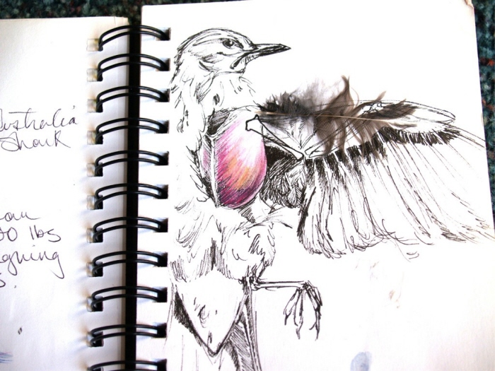 Sketch Book by Anna Alcorn at Coroflot.com