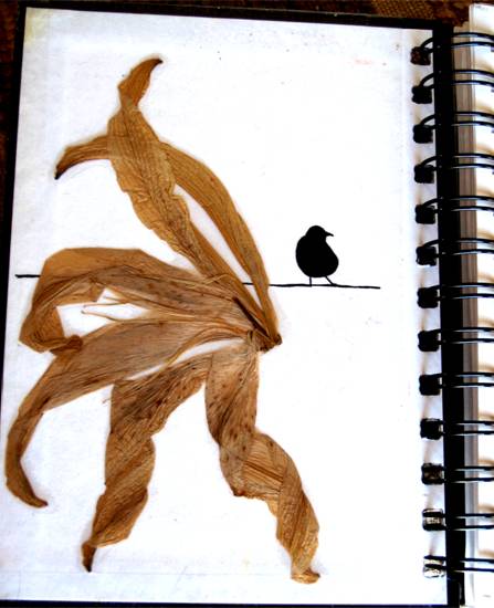 Sketch Book by Anna Alcorn at Coroflot.com