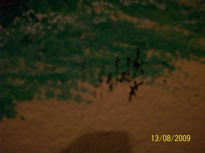 my fathers work by amber nickell at Coroflot.com