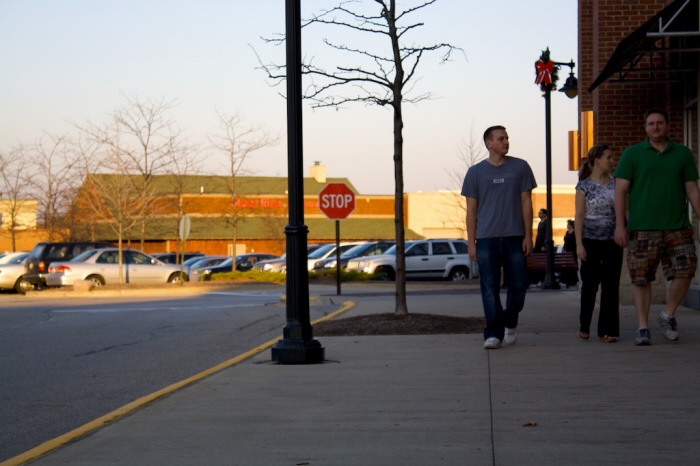 Homage- Lee Friedlander by Ryan G at Coroflot.com