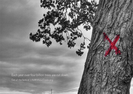 Life Without Trees Sustainability Campaign by Ashley Gummelt at ...