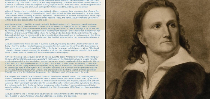 Audubon Museum Brochure by matthew franzen at Coroflot.com