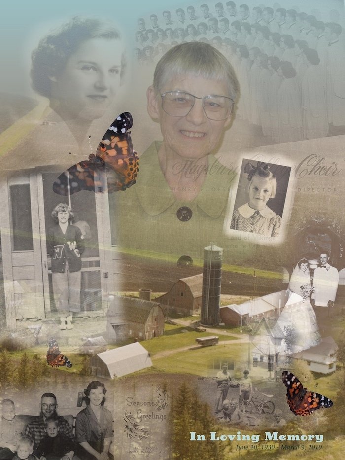 An upload by Mary Schepis Johnson on Coroflot: to the project ...