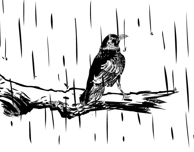 2-D animation by Tim Myers at Coroflot.com