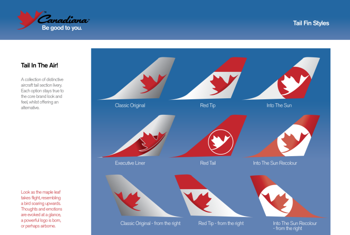 Airline Tail Fin Logos