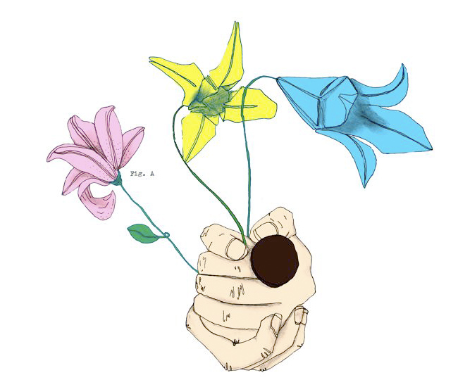 An upload by Antonia Sullivan on Coroflot: to the project Commercial Work