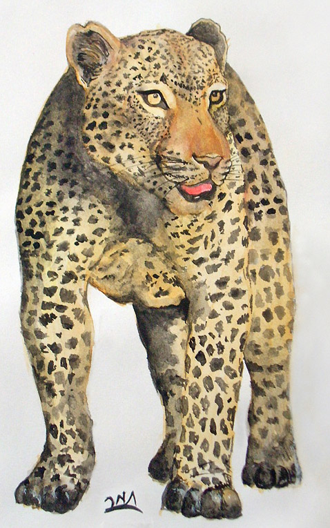 An upload by Tamar Gur on Coroflot: to the project Water Color