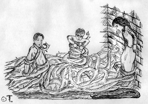 Harry Potter - Illustrations by Tamar Gur at Coroflot.com