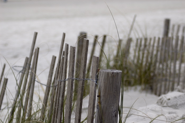 An upload by Jennifer Castillo on Coroflot: to the project Photography