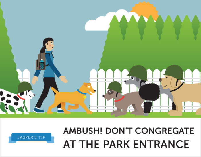 An upload by Matt Opsahl on Coroflot: to the project Jasper's Dog Park