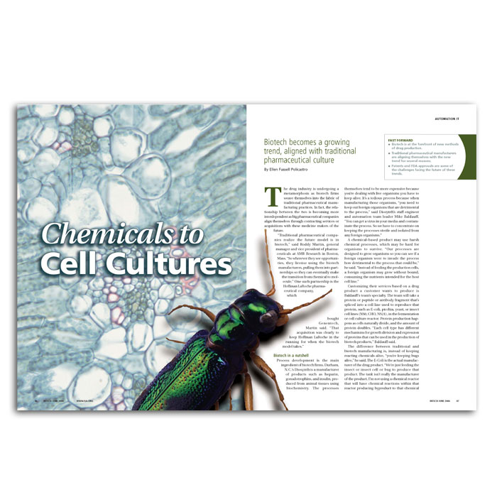 Magazine design by Lisa Starck at Coroflot.com