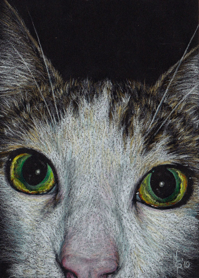 animals by Melissa Gabso at Coroflot.com