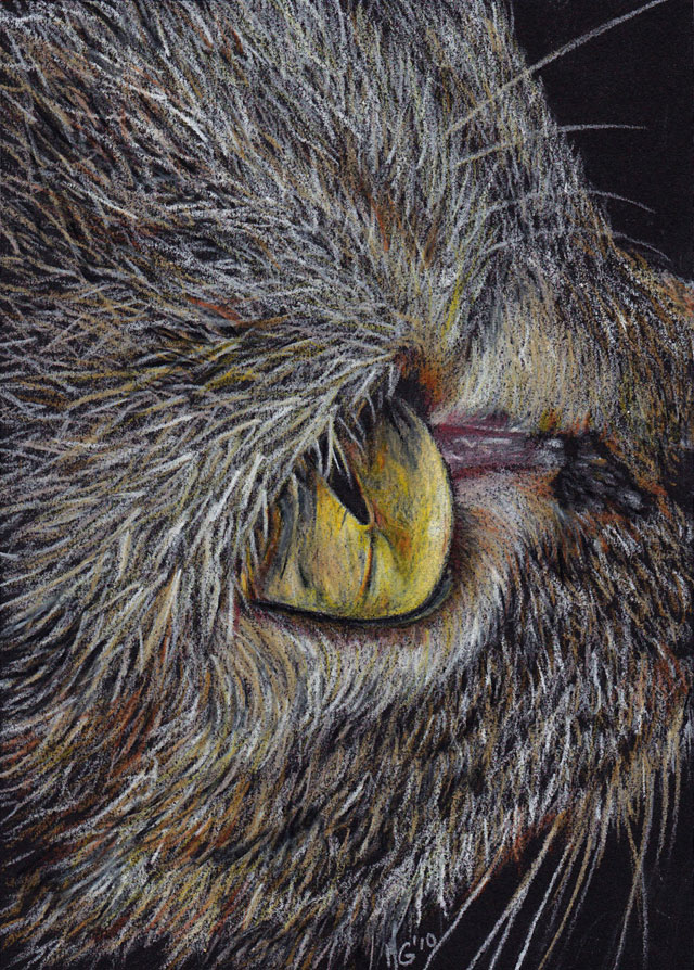 animals by Melissa Gabso at Coroflot.com