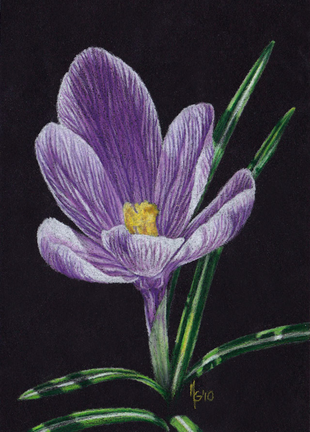 flowers by Melissa Gabso at Coroflot.com