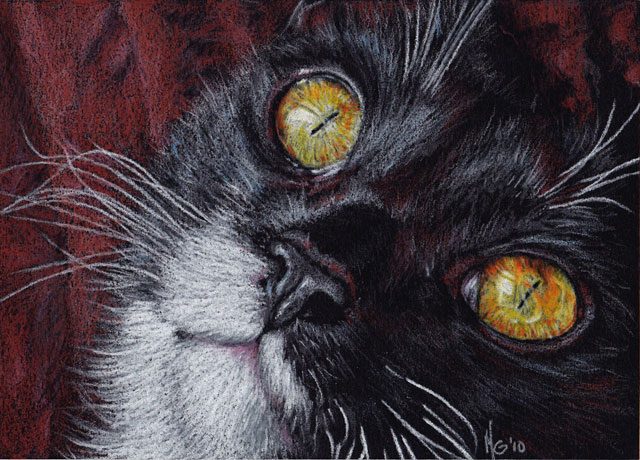 animals by Melissa Gabso at Coroflot.com