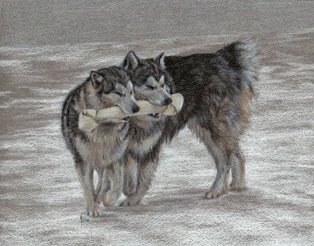 animals by Melissa Gabso at Coroflot.com