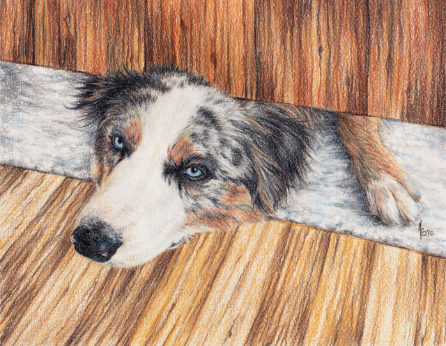 An upload by Melissa Gabso on Coroflot: to the project animals