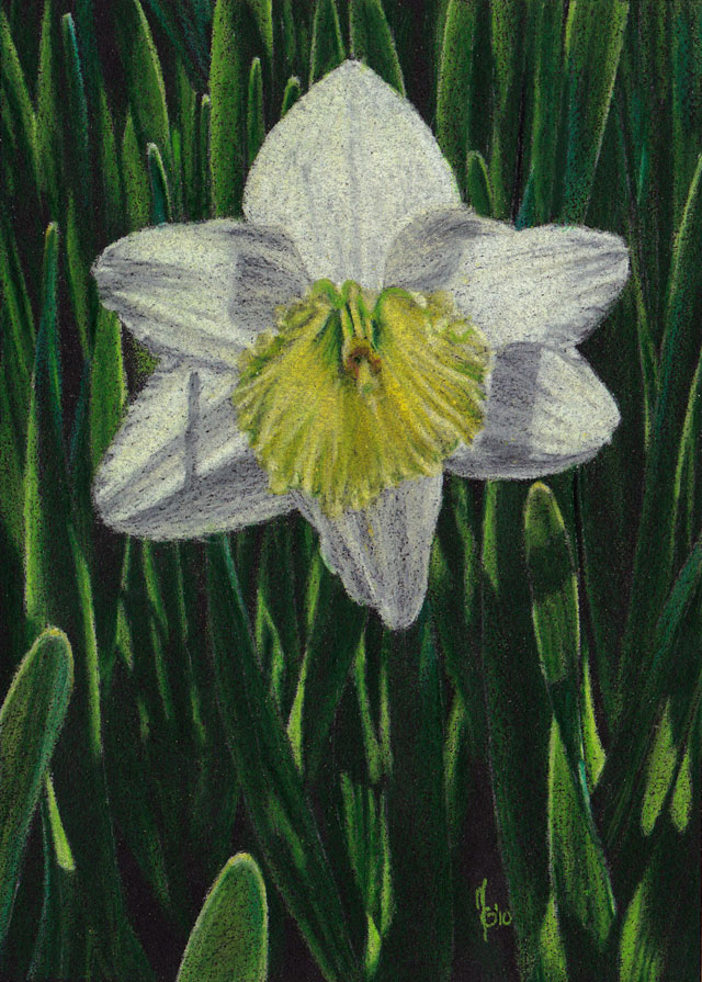 flowers by Melissa Gabso at Coroflot.com