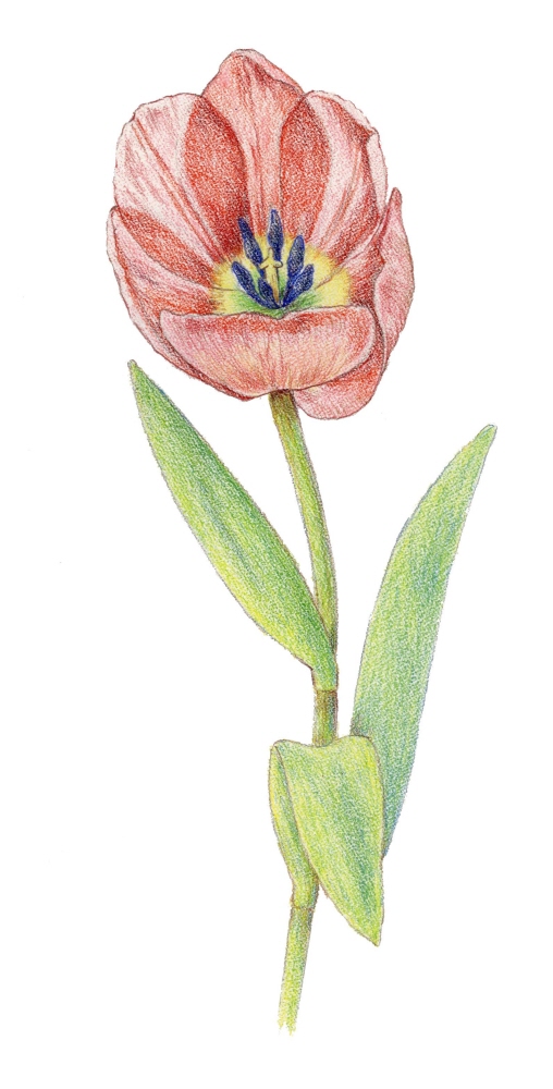 JAN_RASMUSSEN_PORTFOLIO by Jan Rasmussen at Coroflot.com