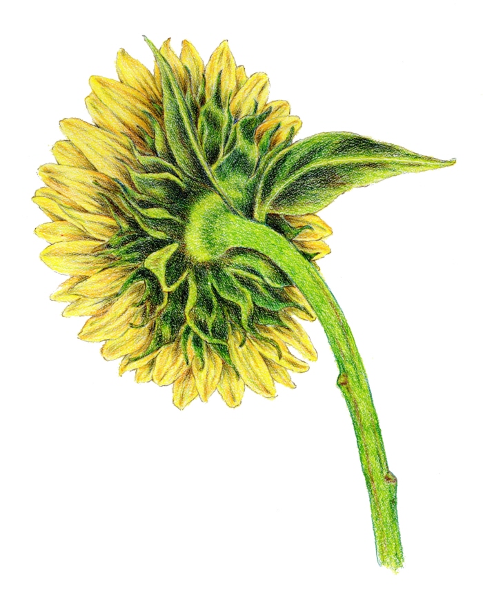 JAN_RASMUSSEN_PORTFOLIO by Jan Rasmussen at Coroflot.com