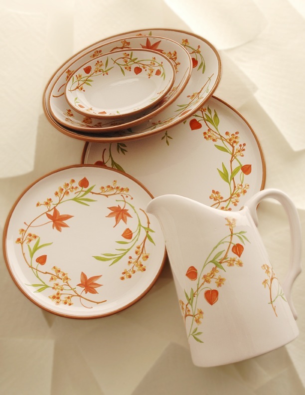 Dinnerware Designs: Licensed by Kari Emmons Michaud at Coroflot.com