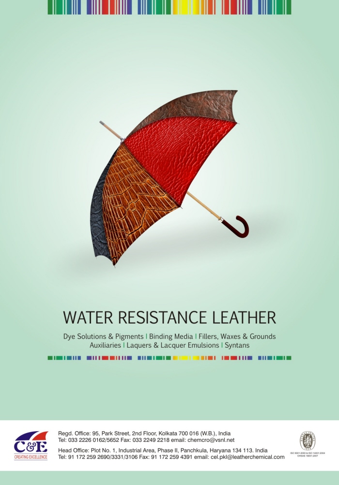 Ads and pamphlet design for Creating Excellence by wedesignstuff - at ...