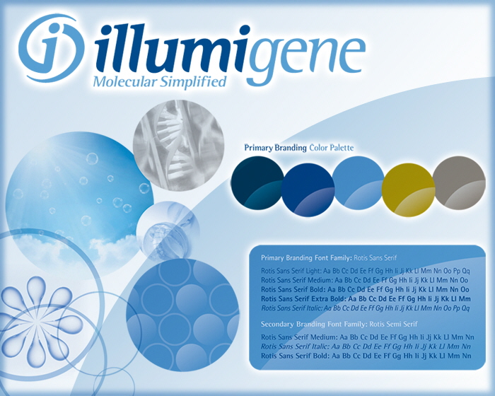 Brand Identity by Burns M Brady at Coroflot.com