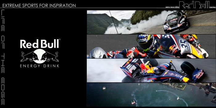 Red Bull Aero Race Bike by Daniel Nikonchik at Coroflot.com