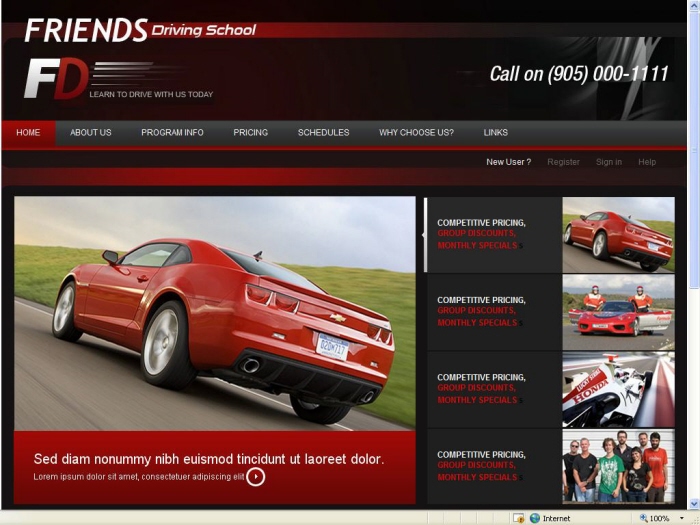 Work on WEB by Sangieta Singh at Coroflot.com