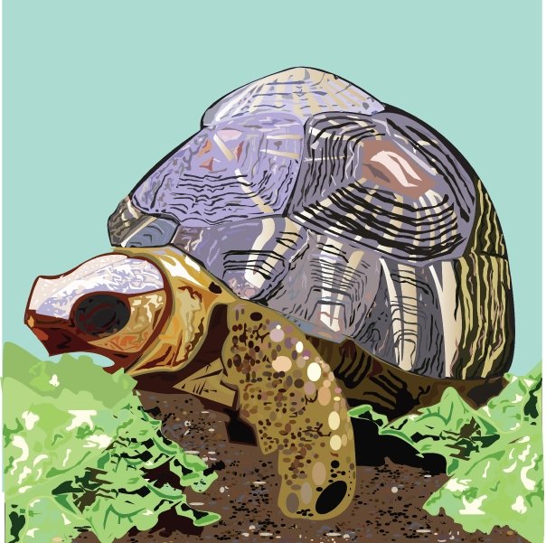 Digital Illustrations by Amy Busbee at Coroflot.com