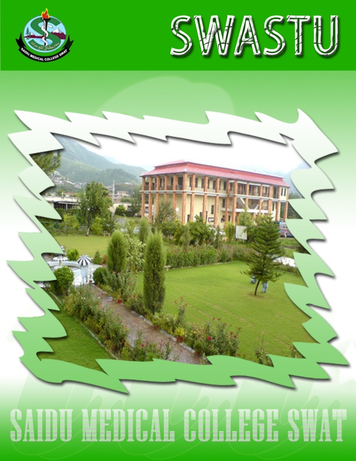 Magazine & Brochure Design by favad Afr!D! at Coroflot.com