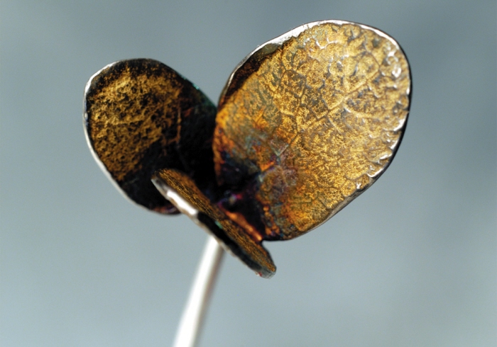 Photography Art Direction by Barbara Roth at Coroflot.com